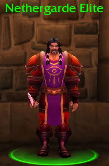 Nethergarde Elite | WoWWiki | Fandom