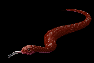 Crimson Snake | WoWWiki | Fandom
