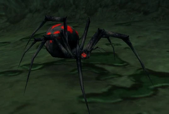 Night Web Matriarch | WoWWiki | Fandom