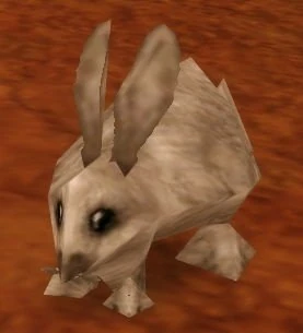 Hare | WoWWiki | Fandom
