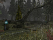 Darkshore | WoWWiki | Fandom