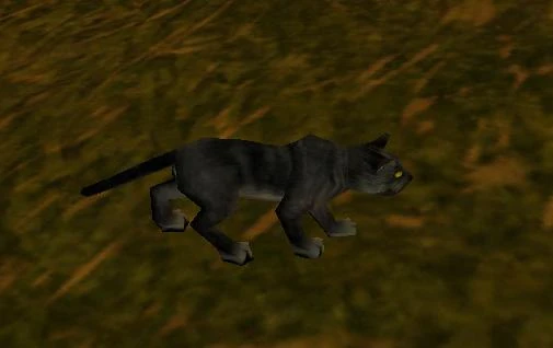 Kitty | WoWWiki | Fandom