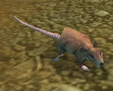 Dig Rat | WoWWiki | Fandom