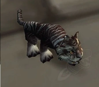 Nightsaber Cub | WoWWiki | Fandom