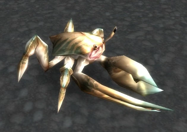 Young Reef Crawler | WoWWiki | Fandom