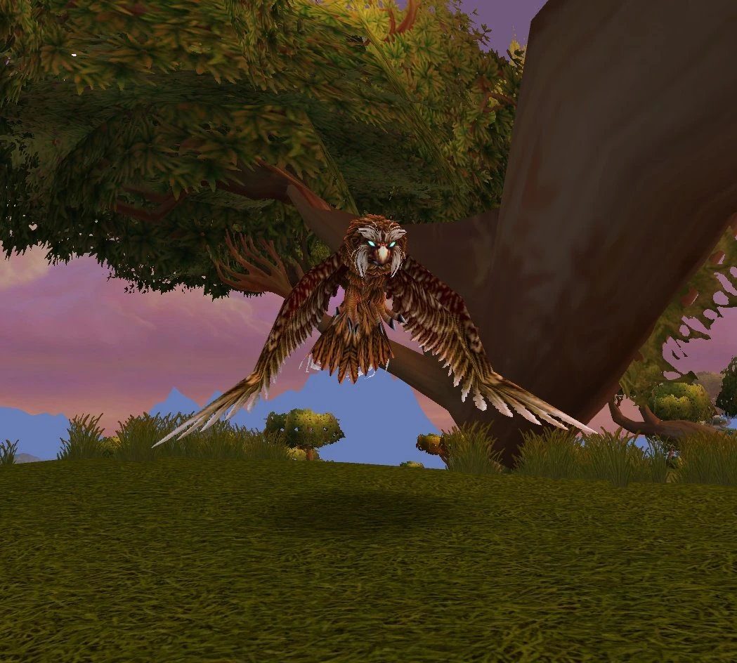 Windroc | WoWWiki | Fandom