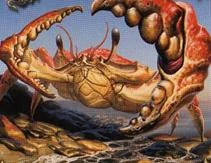 Crusty | WoWWiki | Fandom