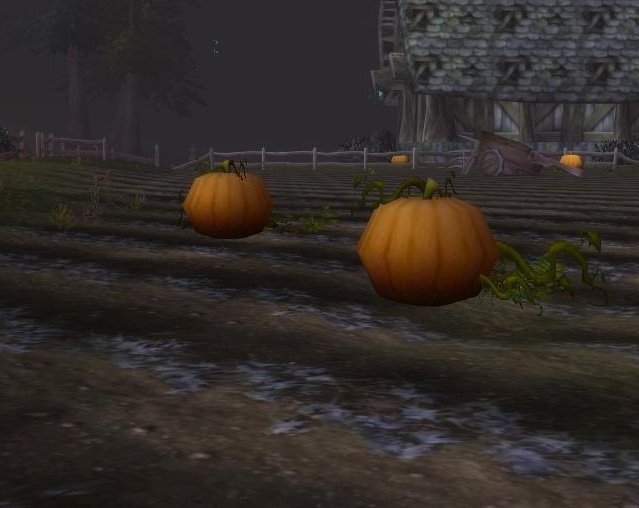 Tirisfal Pumpkin Wowwiki Fandom