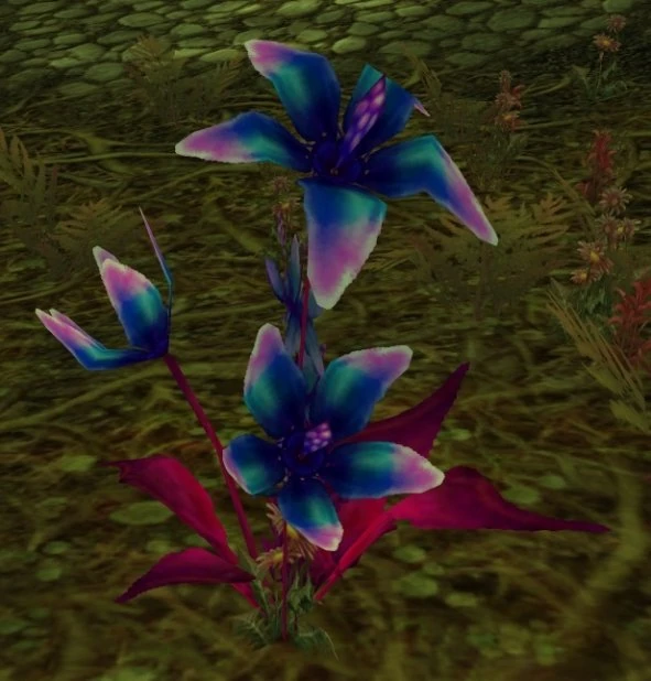 Corrupted Songflower | WoWWiki | Fandom