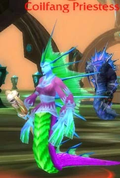 Coilfang Priestess | WoWWiki | Fandom