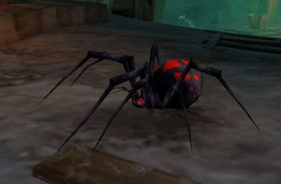 Night Web Spider | WoWWiki | Fandom