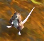 Prairie Mouse | WoWWiki | Fandom