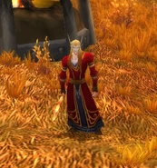 Andorel Sunsworn | WoWWiki | Fandom