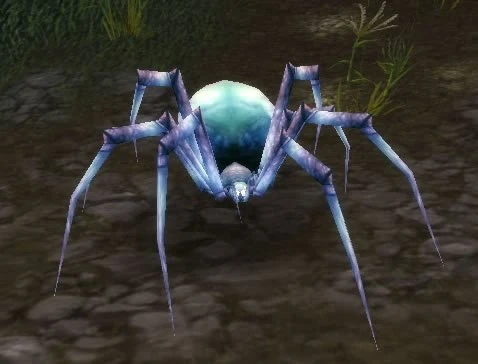 Pygmy Venom Web Spider | WoWWiki | Fandom