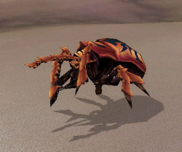 Sand-Husk Scarab | WoWWiki | Fandom
