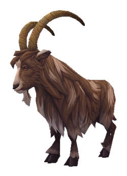 Goat | WoWWiki | Fandom