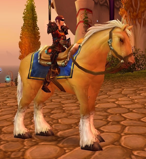 Palomino Bridle | WoWWiki | Fandom