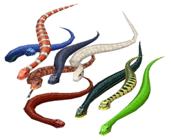 Snake | WoWWiki | Fandom