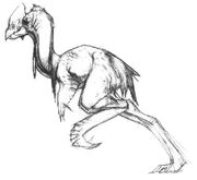 Tallstrider | WoWWiki | Fandom