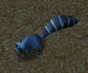 Raccoon | WoWWiki | Fandom