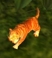Cat Carrier (Orange Tabby) | WoWWiki | Fandom