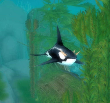 Frenzied Orca | WoWWiki | Fandom