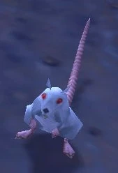 Frostfur Rat | WoWWiki | Fandom