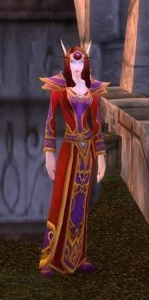 High Elf Sorceress | WoWWiki | Fandom
