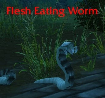 Flesh Eating Worm | WoWWiki | Fandom