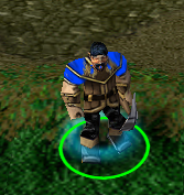 Peasant | WoWWiki | Fandom