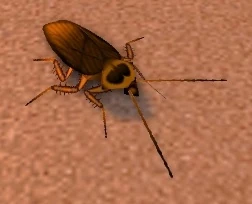 Roach (battle pet) | WoWWiki | Fandom