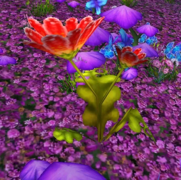 Corrupted Flower | WoWWiki | Fandom
