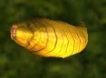 Mr. Grubbs | WoWWiki | Fandom