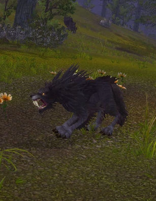 Highland Worg | WoWWiki | Fandom
