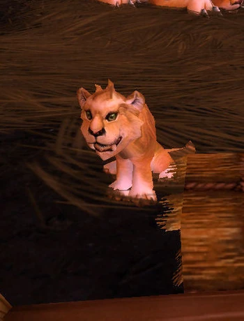 M'ku | WoWWiki | Fandom