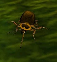 Nether Roach | WoWWiki | Fandom