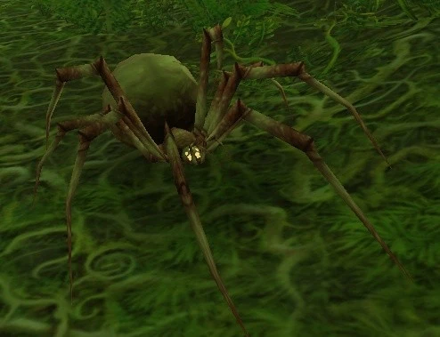 Spawn of Mar'li | WoWWiki | Fandom