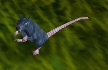 Wharf Rat | WoWWiki | Fandom
