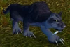 Bhag'thera | WoWWiki | Fandom