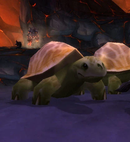 Child of Tortolla | WoWWiki | Fandom