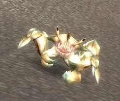 Raging Reef Crawler | WoWWiki | Fandom