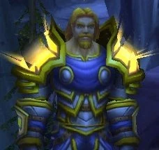 Lightbringer Chestpiece | WoWWiki | Fandom