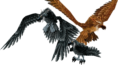 Flight Form | WoWWiki | Fandom