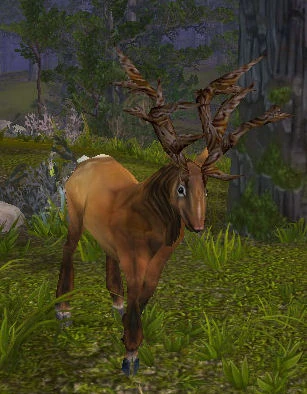 Highland Elk | WoWWiki | Fandom