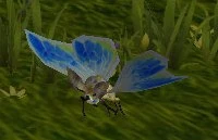 Amber Moth | WoWWiki | Fandom