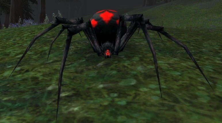 Vicious Night Web Spider | WoWWiki | Fandom