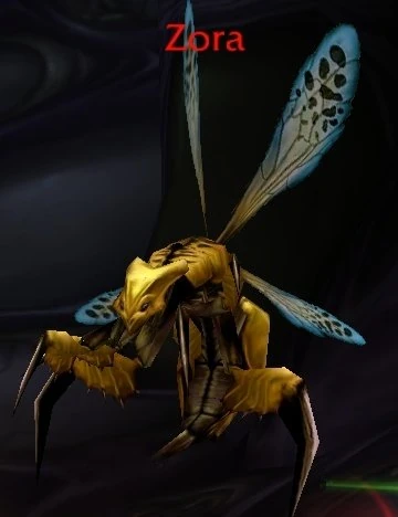 Zora | WoWWiki | Fandom