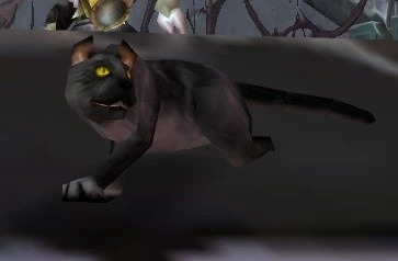 Zena | WoWWiki | Fandom