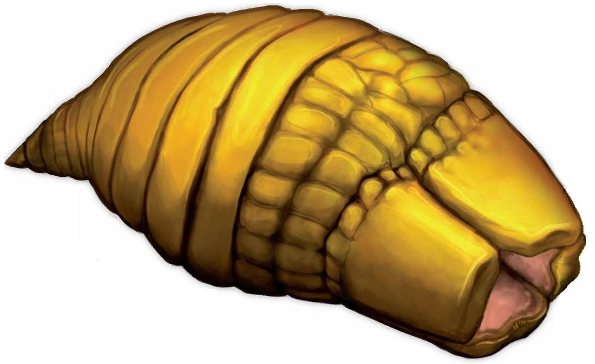 Carrion grub | WoWWiki | Fandom