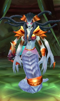 Lady Vashj (tactics) | WoWWiki | Fandom